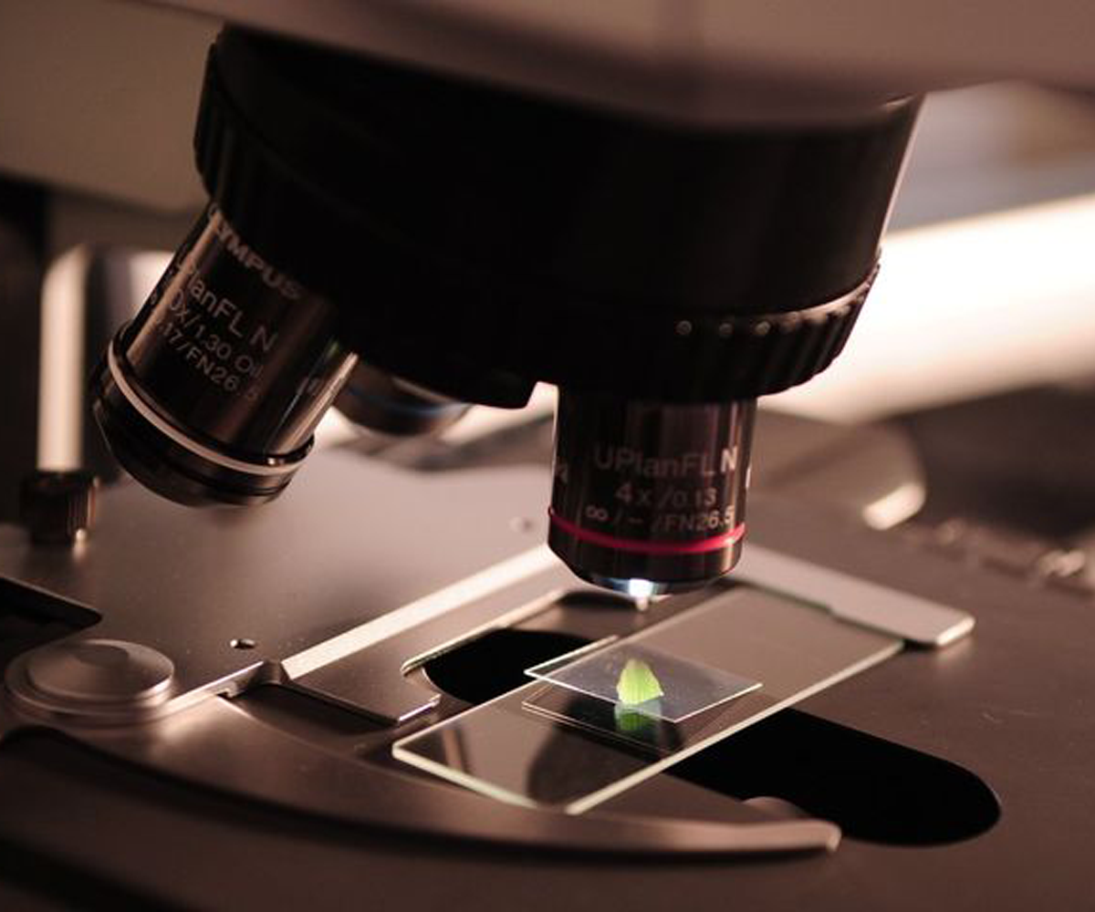 ژن من | انجام تخصصی آزمایش های ژنتیکی | geneman