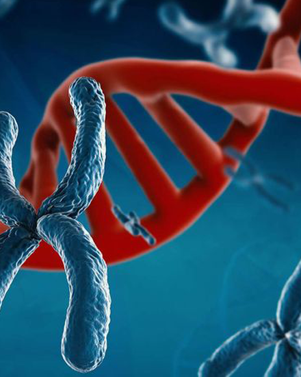 ژن من | انجام تخصصی آزمایش های ژنتیکی | geneman